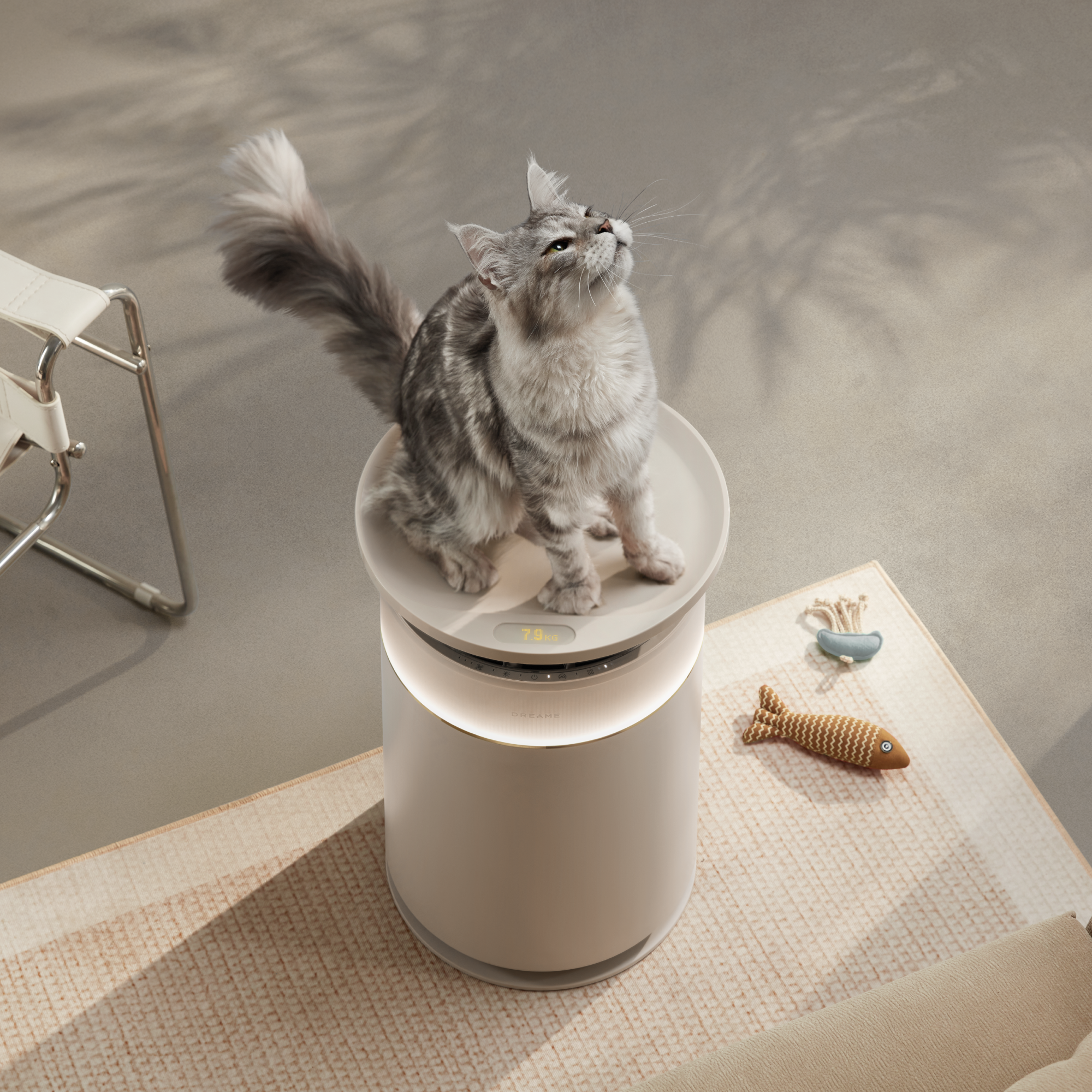 Dreame FP10 Air Purifier – Dreame Home Air